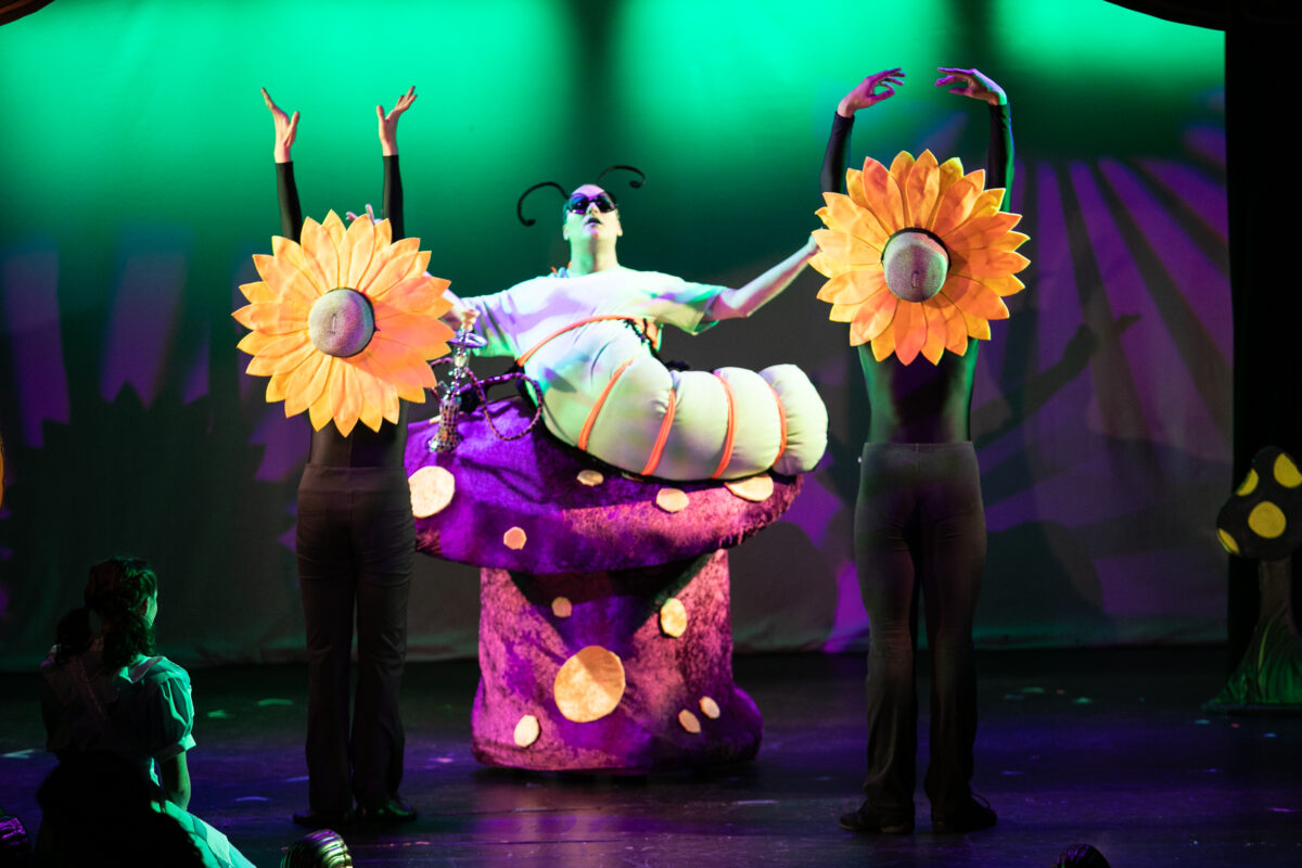 Alice in Wonderland the Musical - Literally Alive