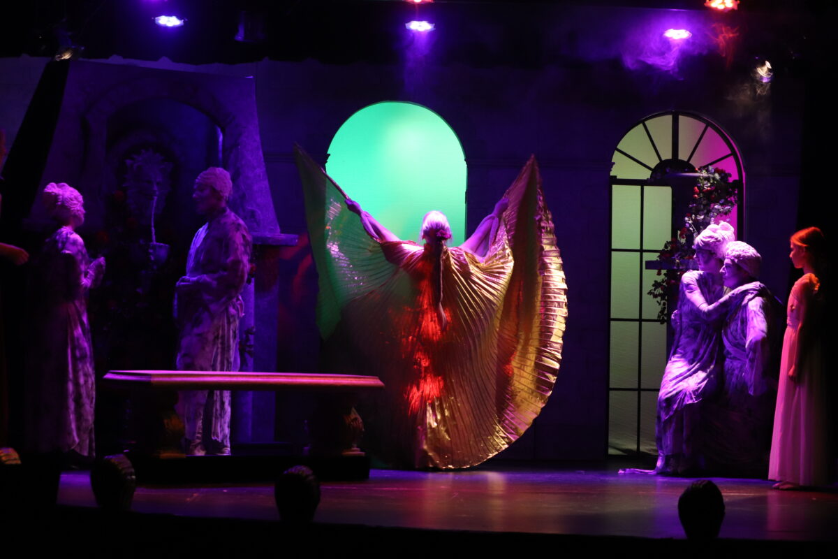 Beauty and the Beast the Musical: Learn More About the show ...